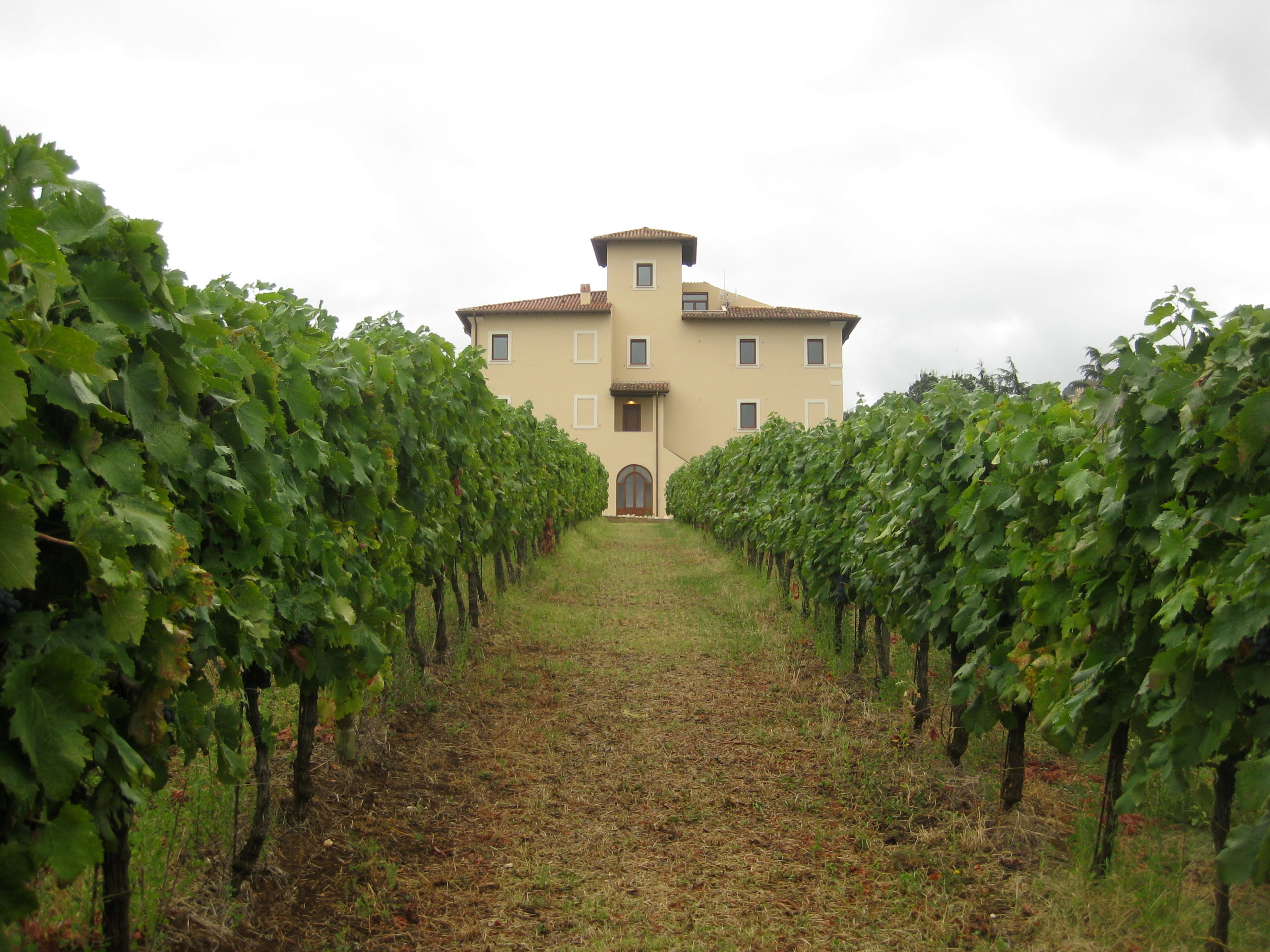 Les vins de Rome - la route de Latina - Rome et les routes du vin